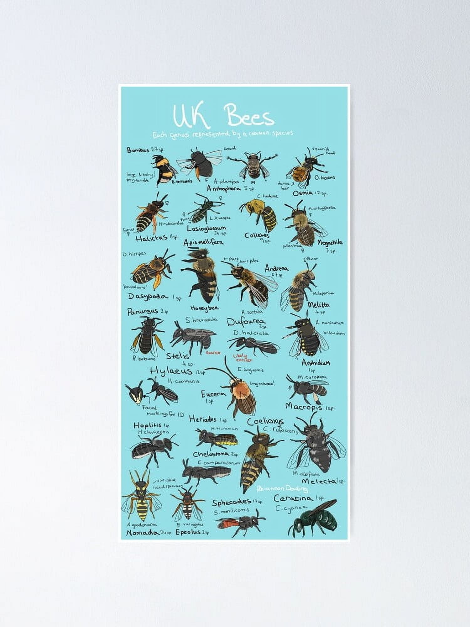 Aaroca UK Bee Board Poster Canvas Poster - Modern Wall Art for Home ...