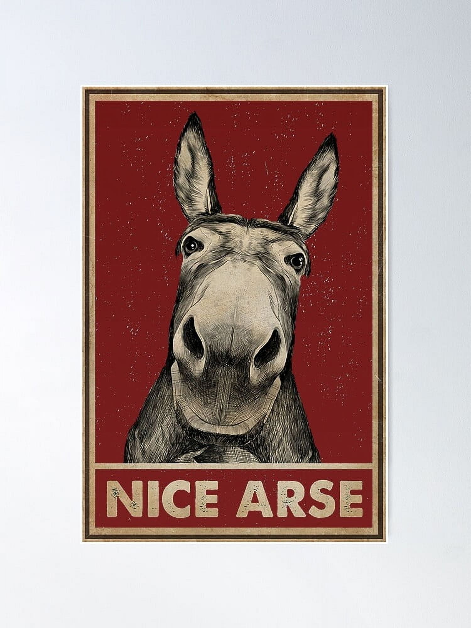 Aaroca Vintage Donkey Nice Arse Poster Canvas Poster - Modern Wall Art ...