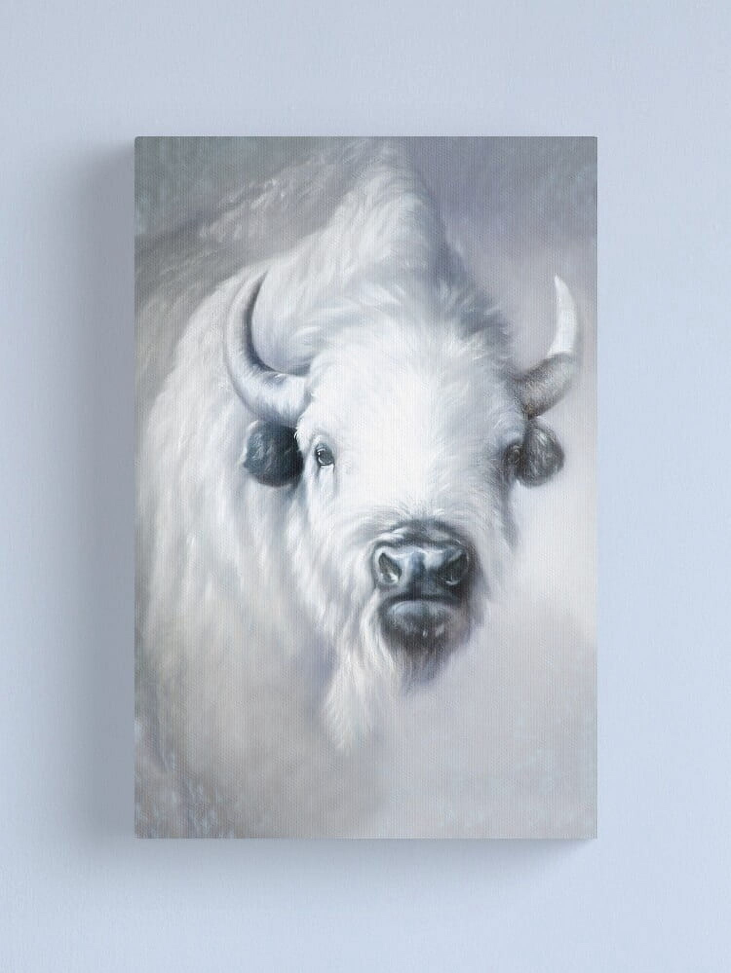 Aaroca White Buffalo, White Bison: sanctity Canvas Print (Unframed ...