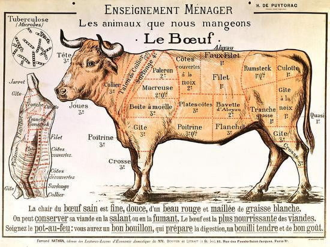 Aaroca new Beef: Diagram Depicting the Different Cuts of Meat Unframed ...