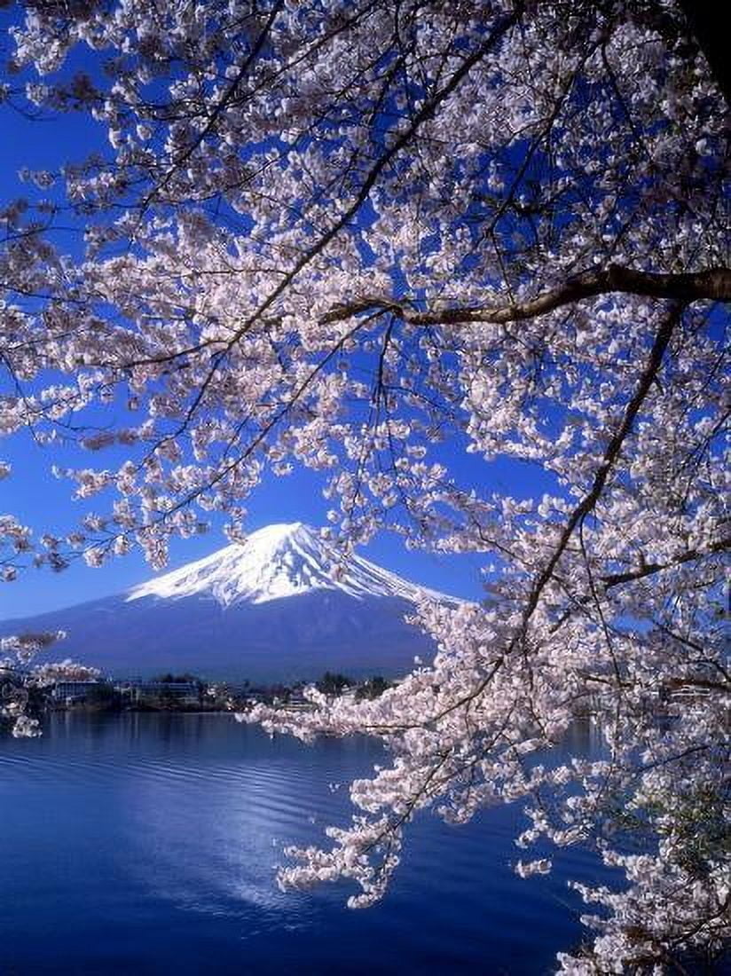 Aaroca new Cherry Blossoms and Mt. Fuji Unframed Classic Decoration for ...