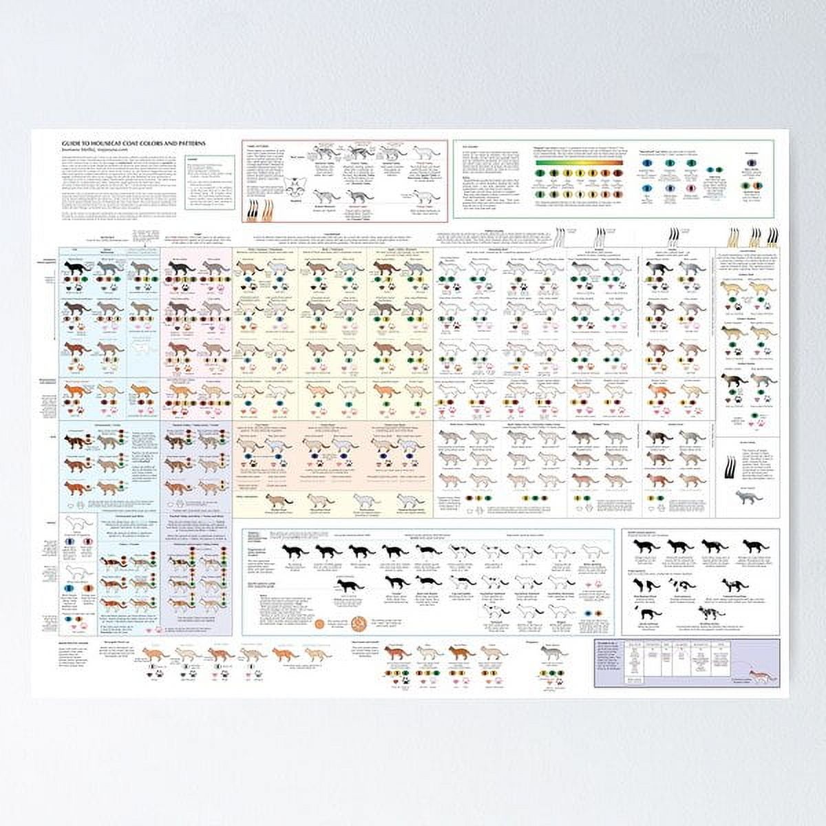 Aaroca new House Cat Colors and Patterns Poster Unframed Canvas Unique ...