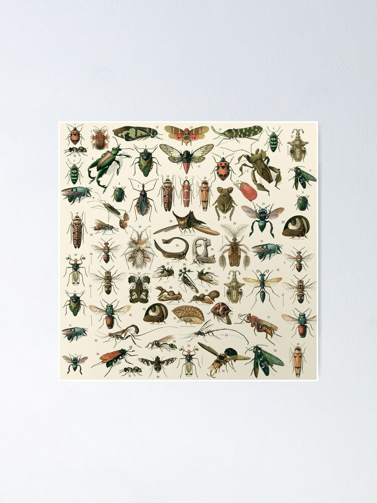 Aaroca new Insects 2 Unframed Poster Classic Decoration for Office ...