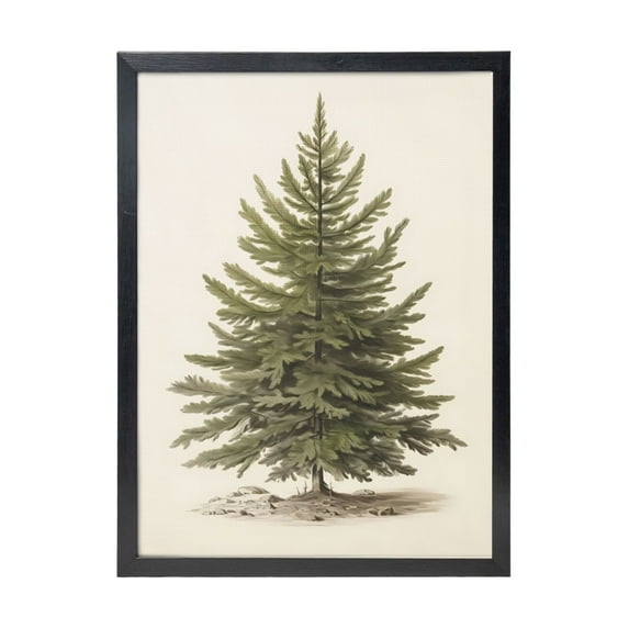 Aarocafa Conifer Pine Tree Botanical Illustration Stretched Canvas Wall ...