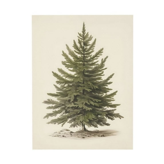 Aarocafa - Vintage Canvas Wall Art Conifer Pine Tree Print Pictures ...