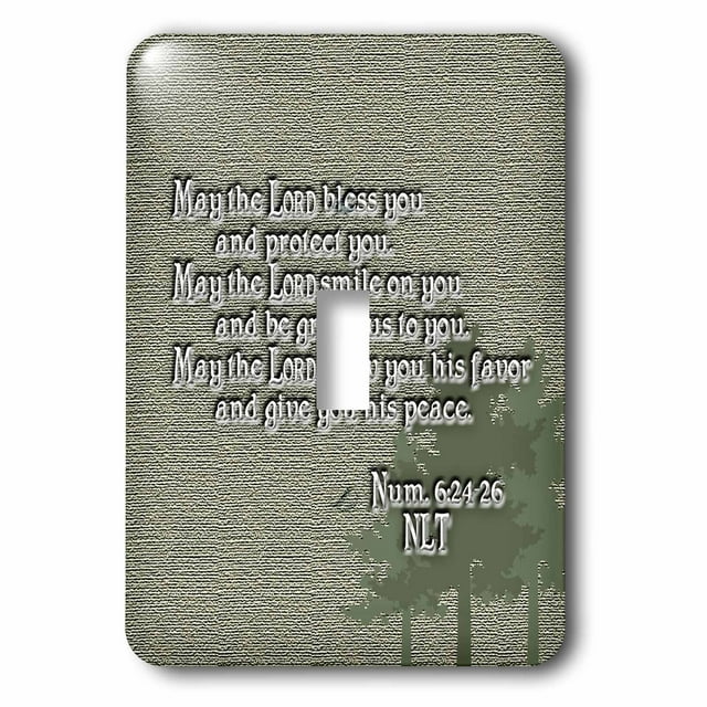 Aaron’s Blessing Numbers 6 24 26 Bible verse single toggle switch lsp ...