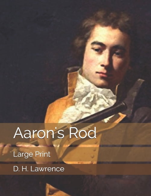 Aaron's Rod : Large Print (Paperback) - Walmart.com