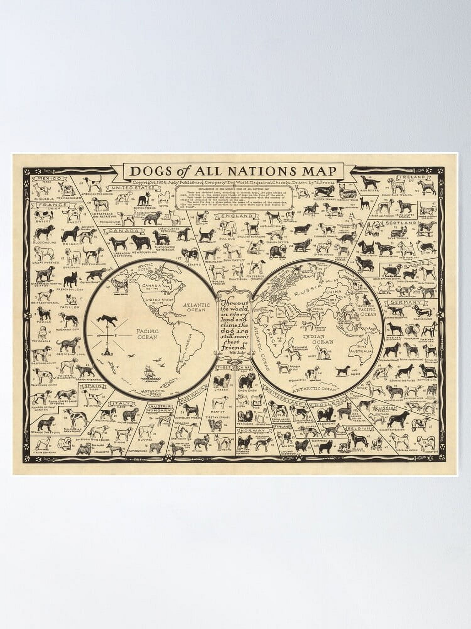 AatoeaX 1936 Vintage Map - Dogs of All Nations Poster Aesthetic Home ...