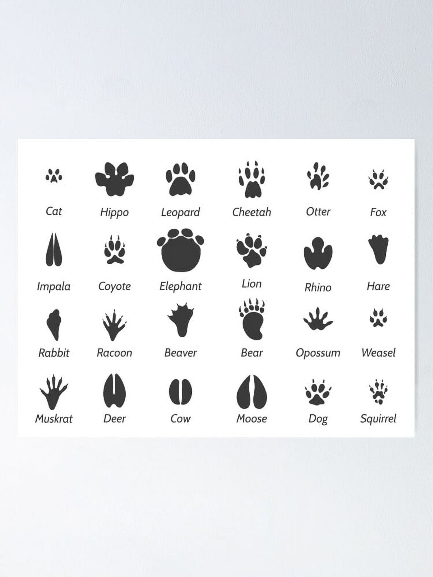 AatoeaX Animal Footprints Poster Modern Wall Art Canvas Poster ...