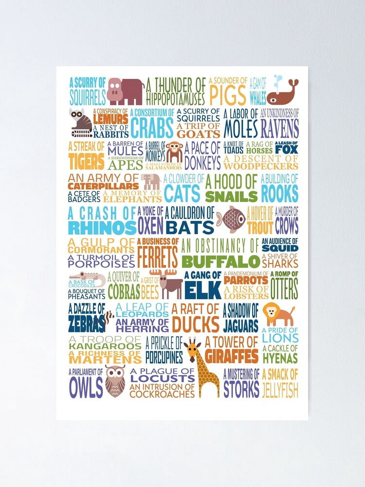 AatoeaX Animal Group Terminology - Funky Font Edition with Animals ...