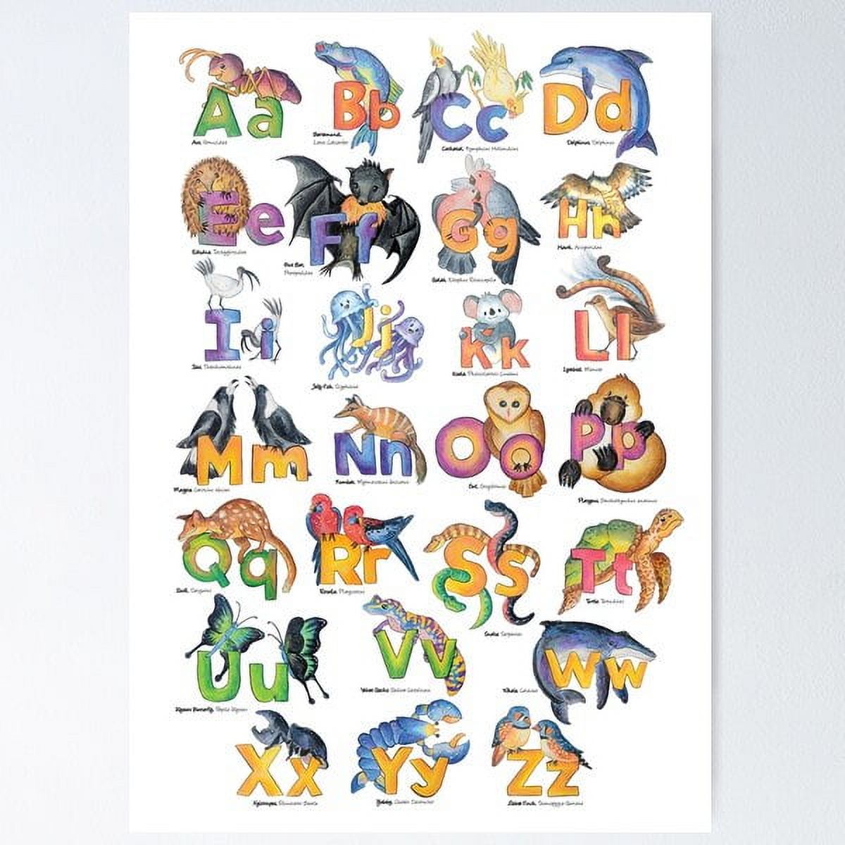 AatoeaX Australian Animal Alphabet PosterAesthetic Home Decor – Perfect ...