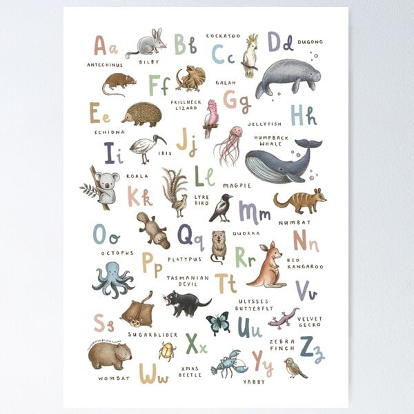 AatoeaX Australian Animals Alphabet Poster Aesthetic Home Decor ...