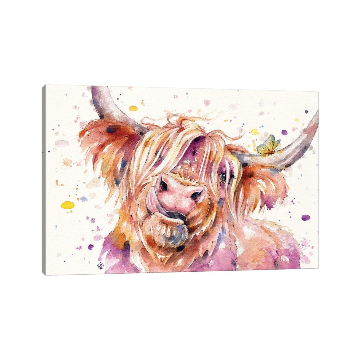 AatoeaX "Bad Hair Don't Care (Scottish Highland Cow)" Canvas Print ...