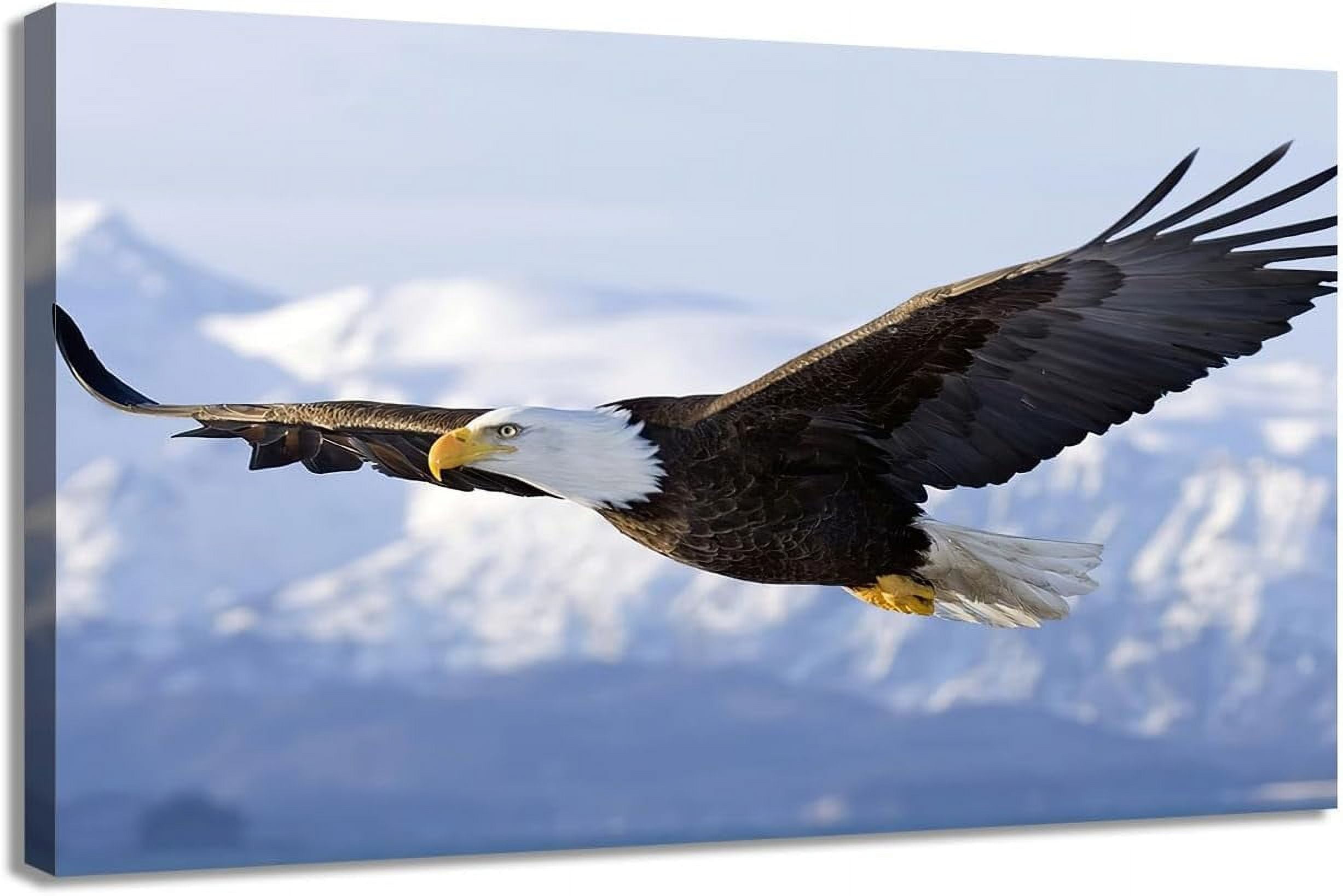 AatoeaX Bald Eagle Poster, Flying Bird Wildlife, Canvas Wall Art For ...
