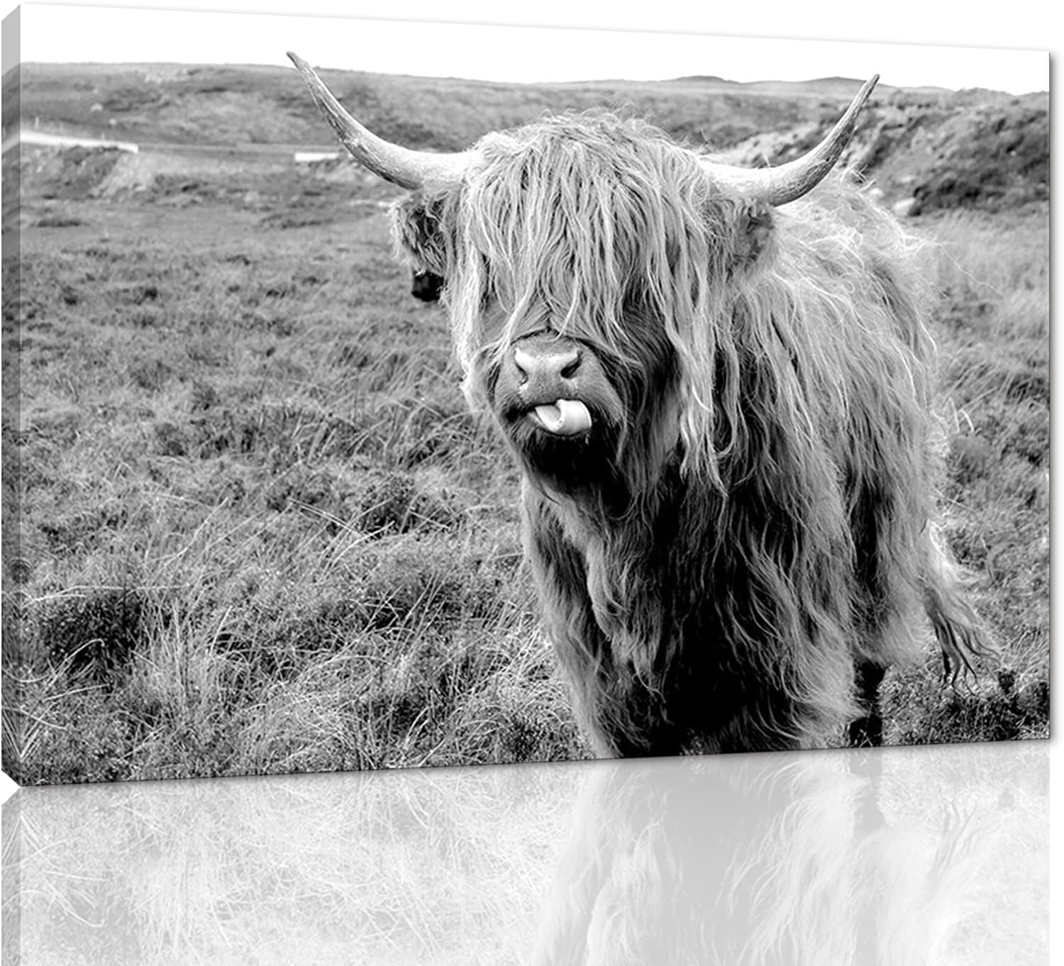 AatoeaX Banksy Graffiti Freedom Highland Cow Picture Canvas Wall Art ...