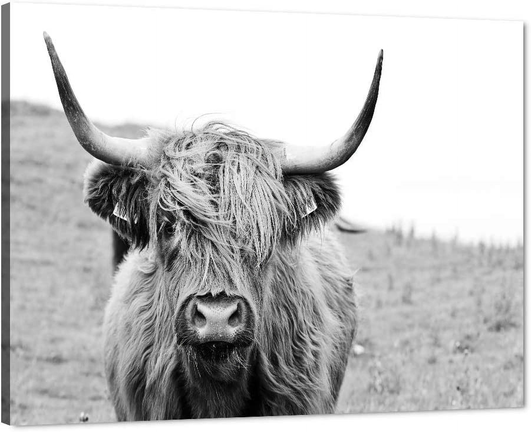 AatoeaX Banksy Graffiti Freedom Highland Cow Picture Canvas Wall Art ...