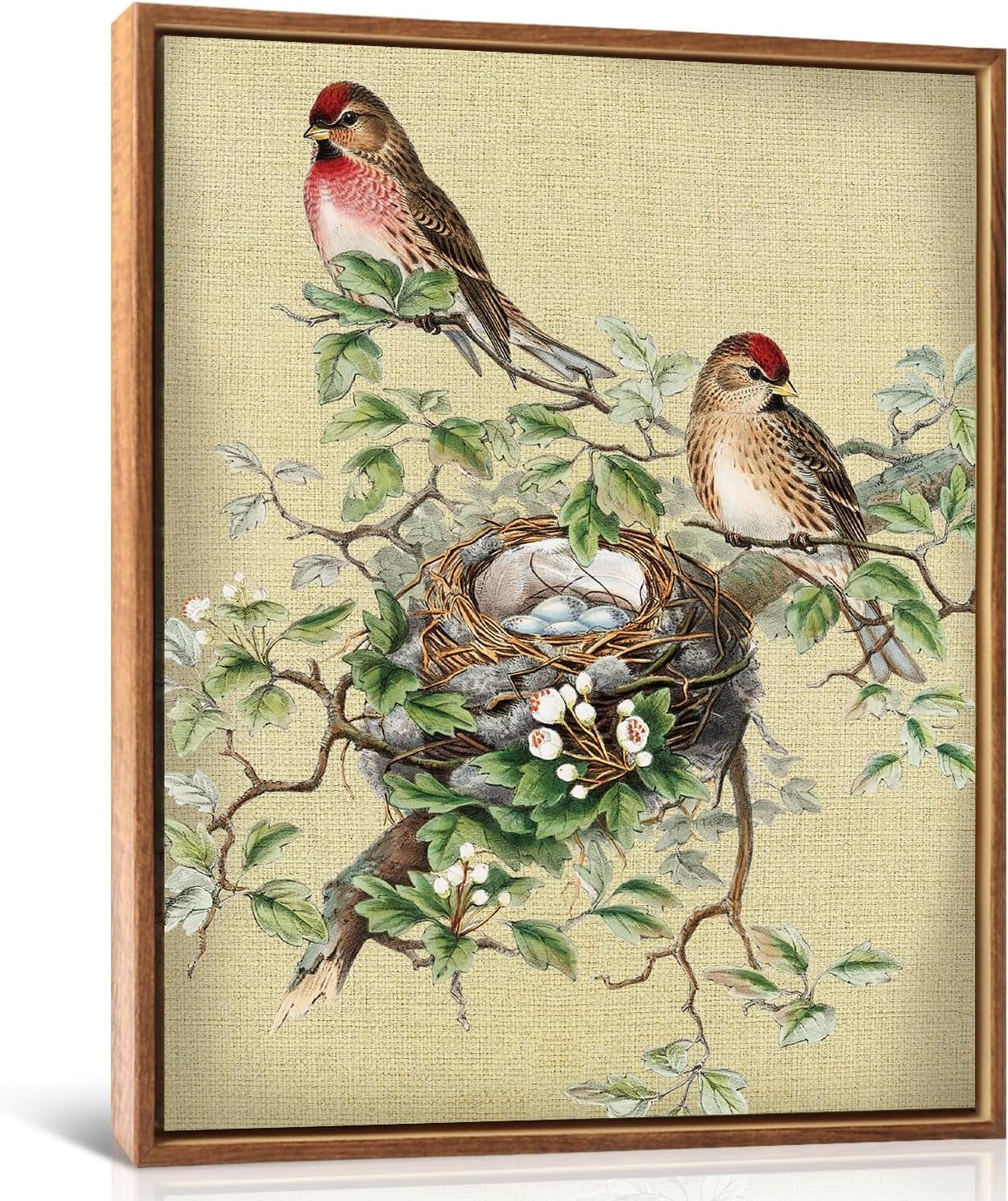 AatoeaX Birds Pictures Wall Decor(12\u201dX16\u201d) Spring Hummingbird ...