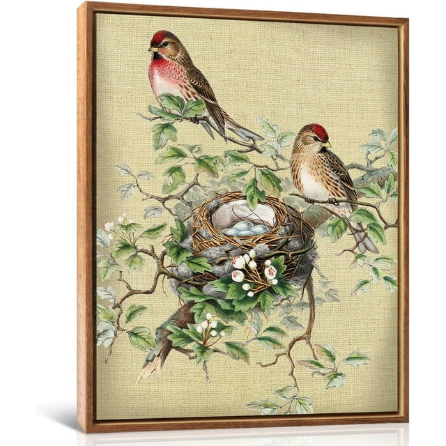AatoeaX Birds Pictures Wall Decor(12\u201dX16\u201d) Spring Hummingbird ...