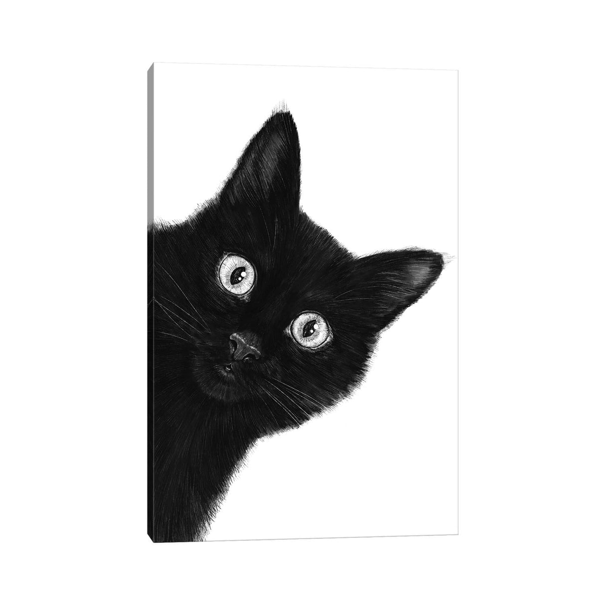 AatoeaX "Black Cat" Canvas Print Modern Wall Art Canvas Poster ...