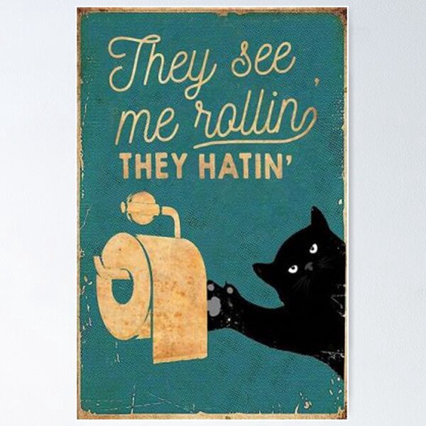 AatoeaX Black Cat Toilet Paper They See Me Rolling They Hatin Poster ...