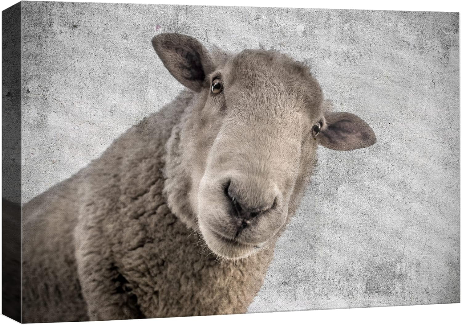 AatoeaX Canvas Print Wall Art Barnyard Sheep Portrait Nature Wilderness ...