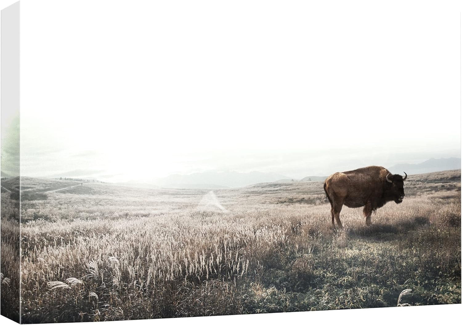 AatoeaX Canvas Print Wall Art Bison Buffalo Misty Washed Out Landscape ...