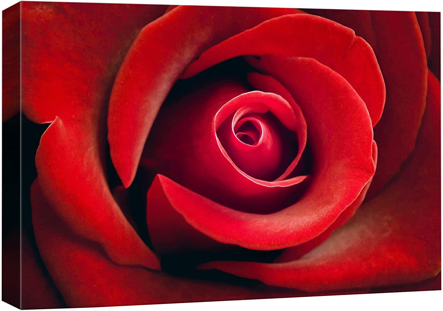 AatoeaX Canvas Print Wall Art Close Up Detail Red Romantic Rose Flower ...