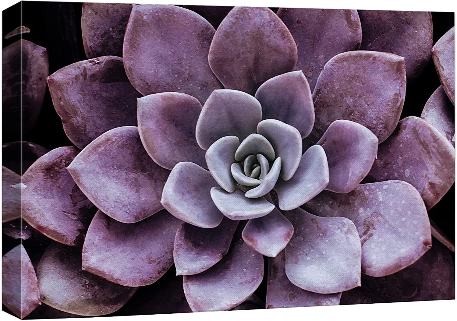 AatoeaX Canvas Print Wall Art Closeup of Blooming Purple Desert ...