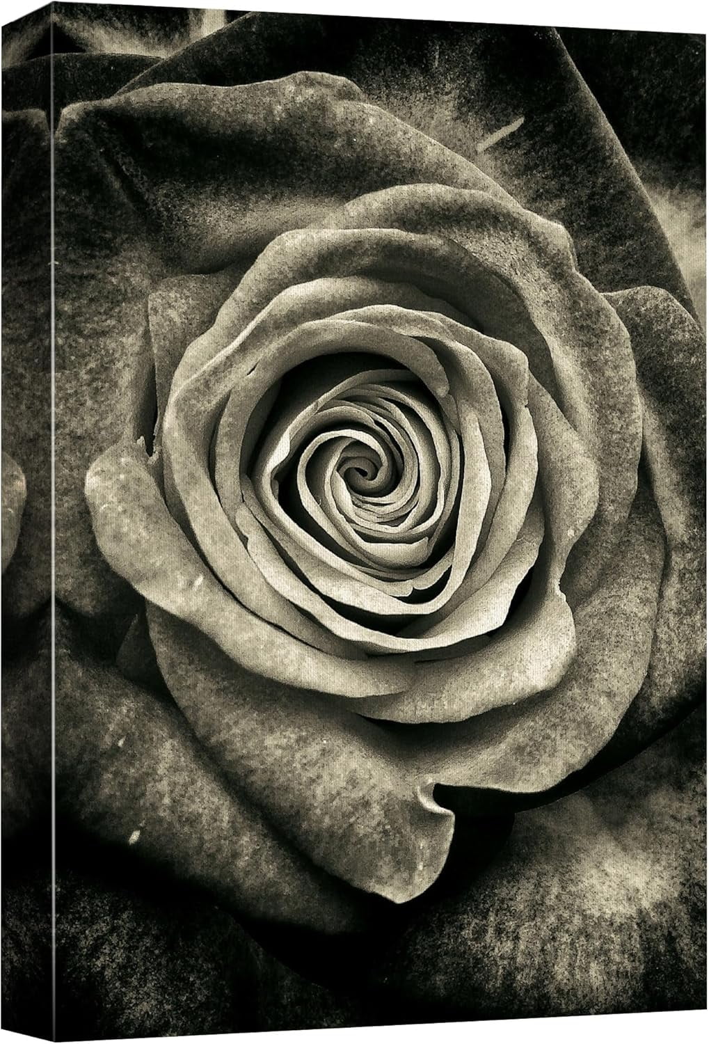 AatoeaX Canvas Print Wall Art Elegant Monochrome Rose Timeless Floral ...