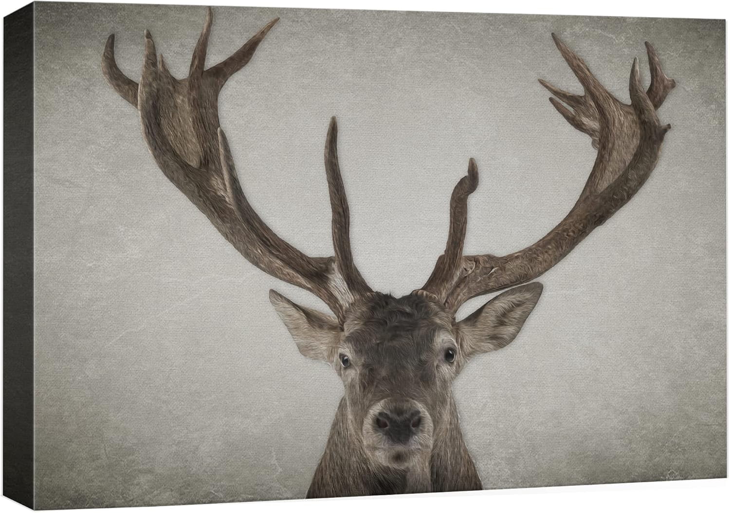 AatoeaX Canvas Print Wall Art Elk Portrait on Graphite Background ...