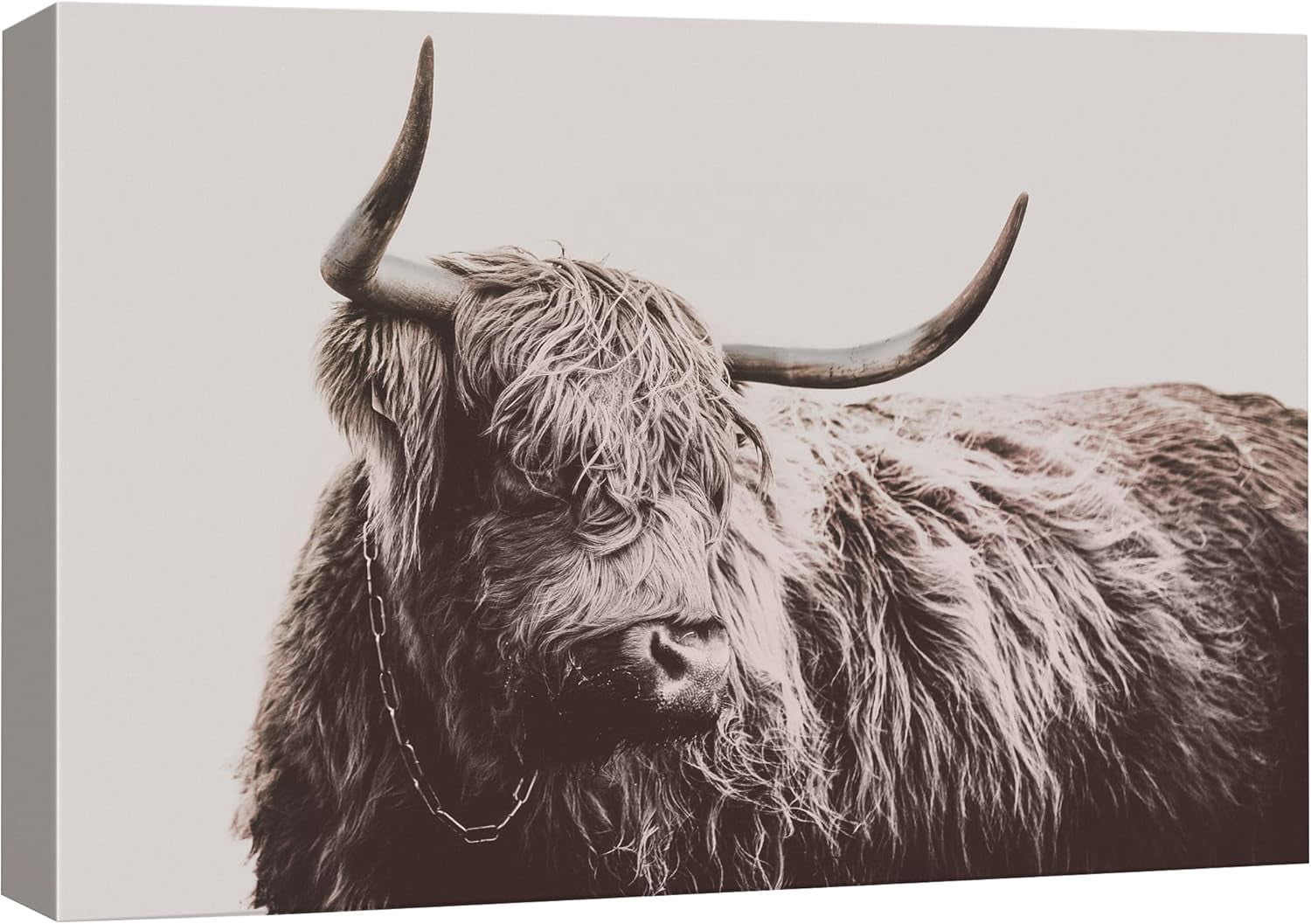 AatoeaX Canvas Print Wall Art Full View of Highland Cow Animals ...