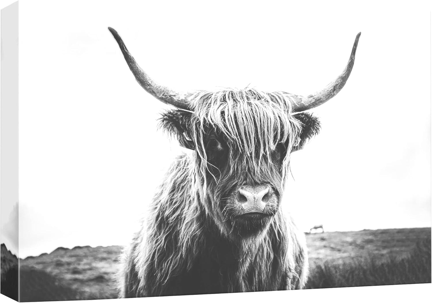 AatoeaX Canvas Print Wall Art Full View of Highland Cow Animals ...