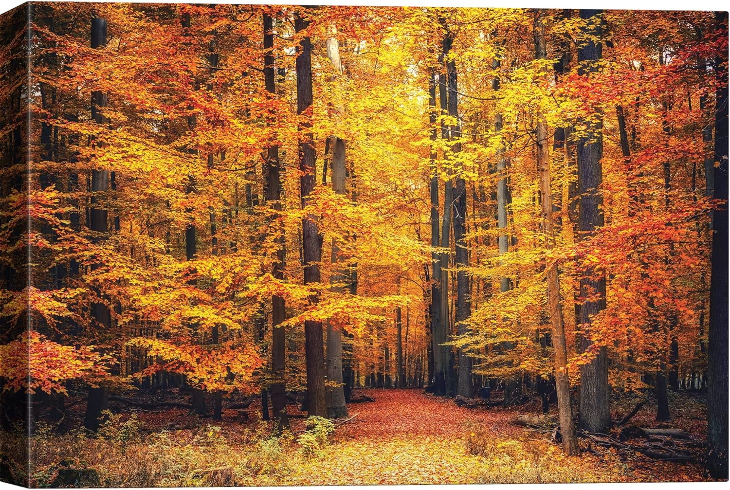AatoeaX Canvas Print Wall Art Golden Red Autumn Tree Leaf Forest Trail ...