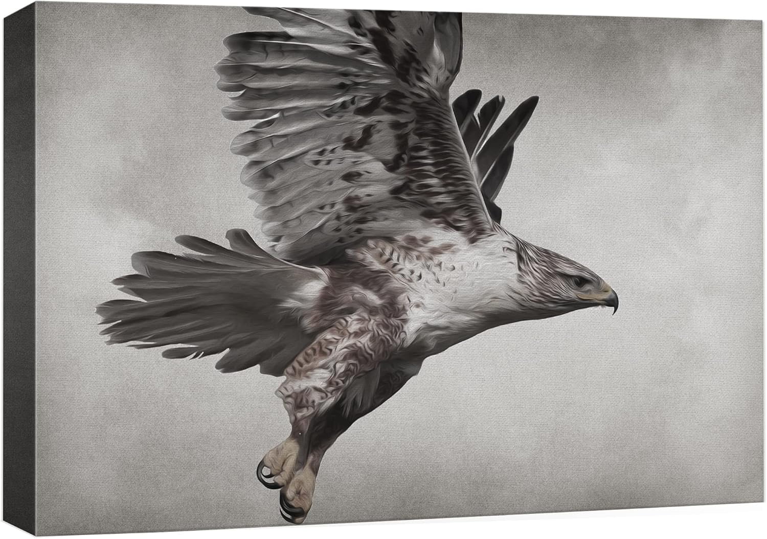 AatoeaX Canvas Print Wall Art Hawk in Sky Portrait on Graphite ...