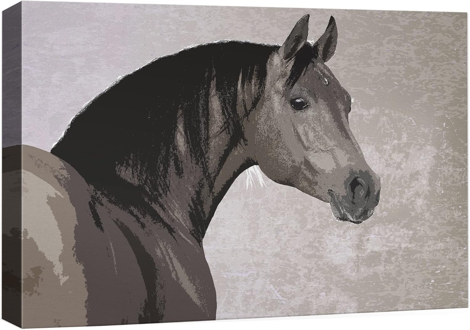 AatoeaX Canvas Print Wall Art Horse Portrait on Graphite Background ...