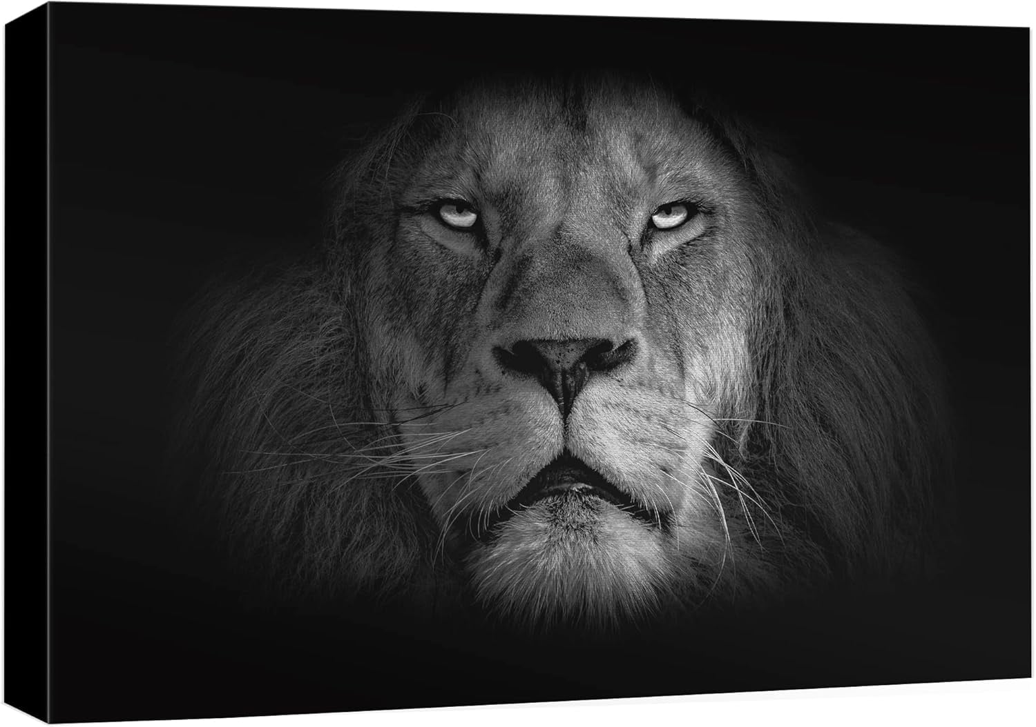 AatoeaX Canvas Print Wall Art Lion Closeup Portrait Animals Wildlife ...