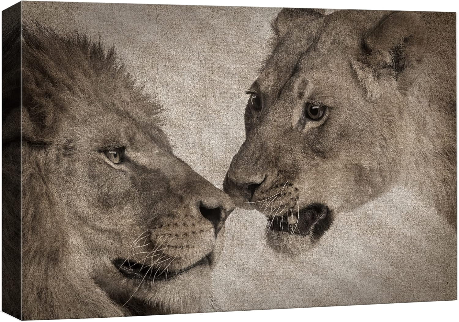 AatoeaX Canvas Print Wall Art Lion & Lioness Cat Portrait Nature ...