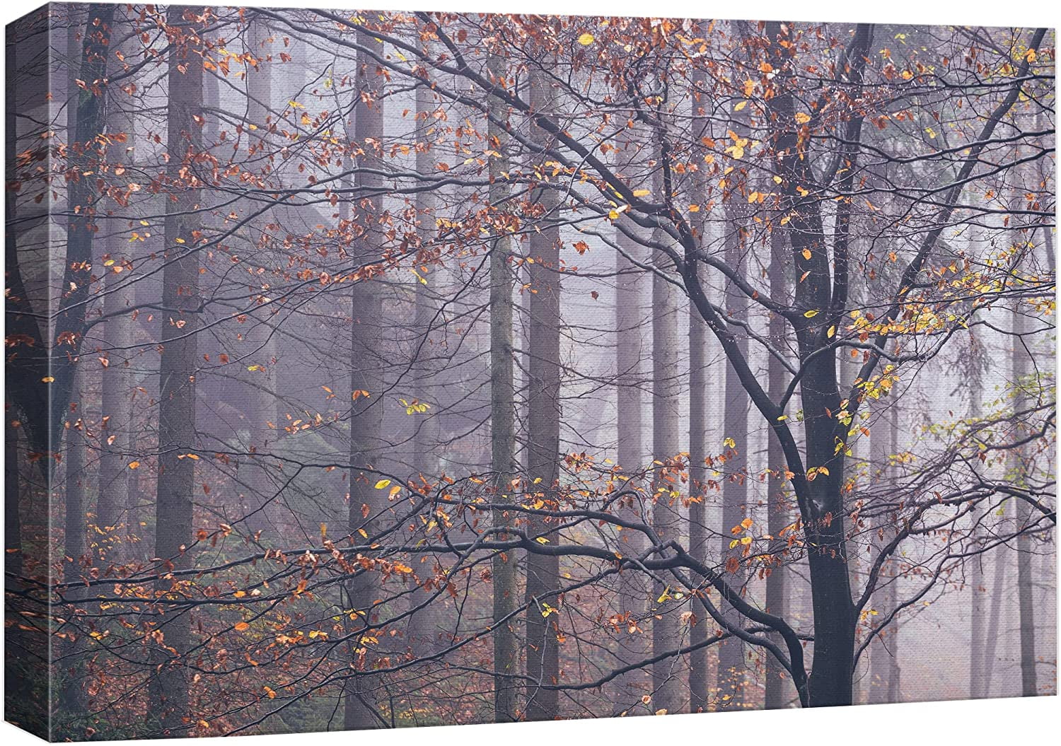 AatoeaX Canvas Print Wall Art Misty Autumn Forest & Trees with Yellow ...