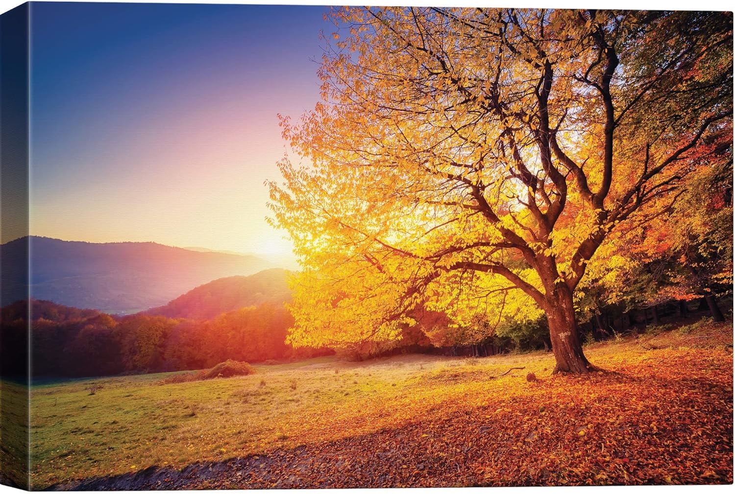 AatoeaX Canvas Print Wall Art Neon Sunset Over Autumn Fall Forest Field ...