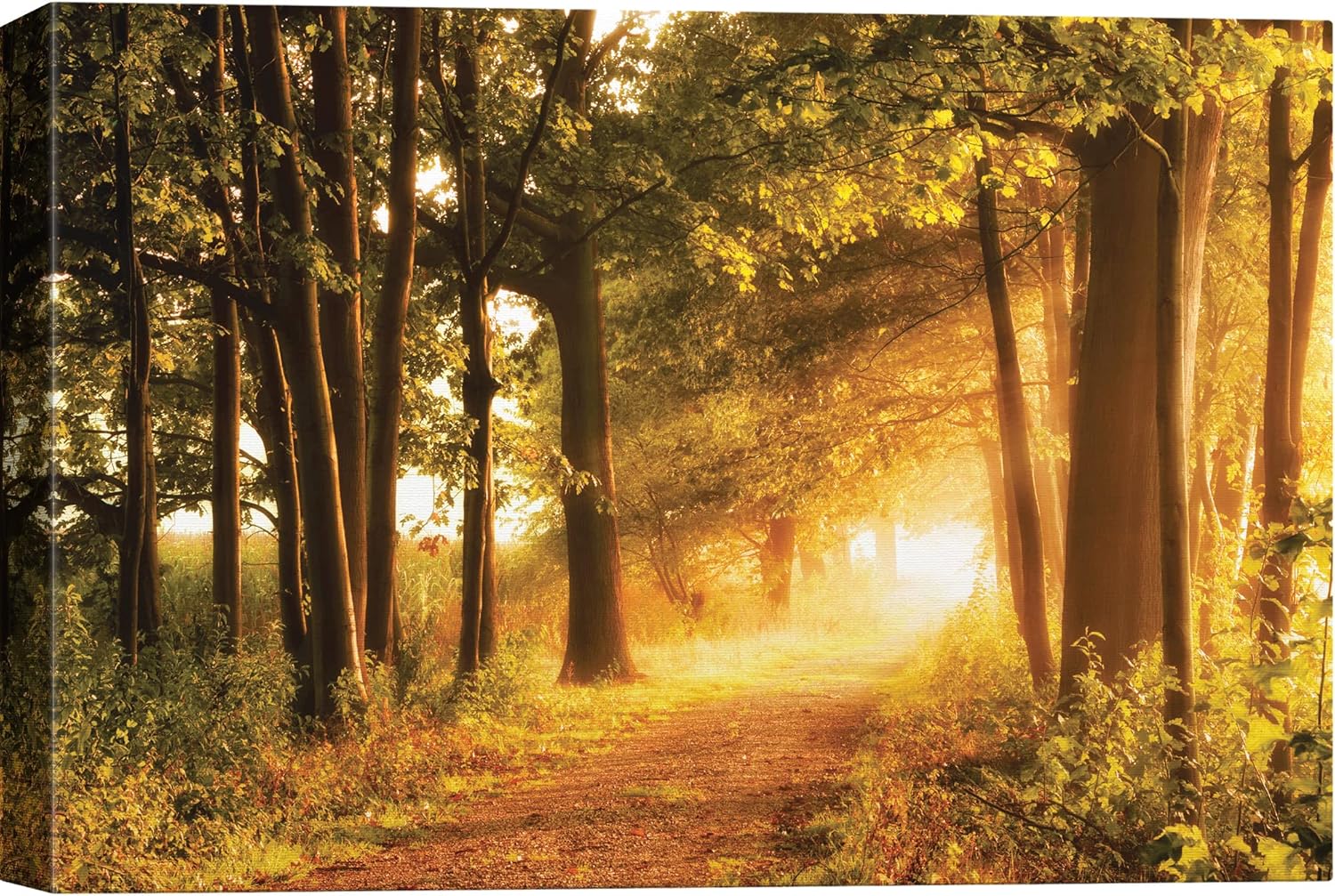 AatoeaX Canvas Print Wall Art Peaceful Walk Through Sunlight Mountain ...