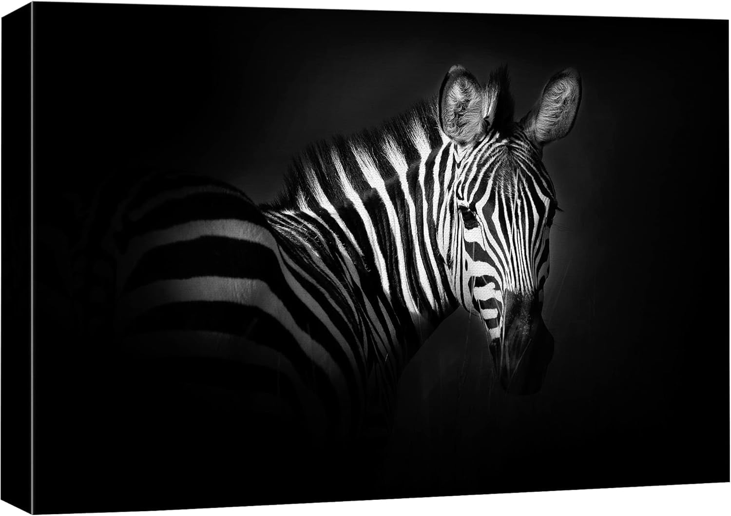 AatoeaX Canvas Print Wall Art Portrait of Zebra Animals Wildlife ...