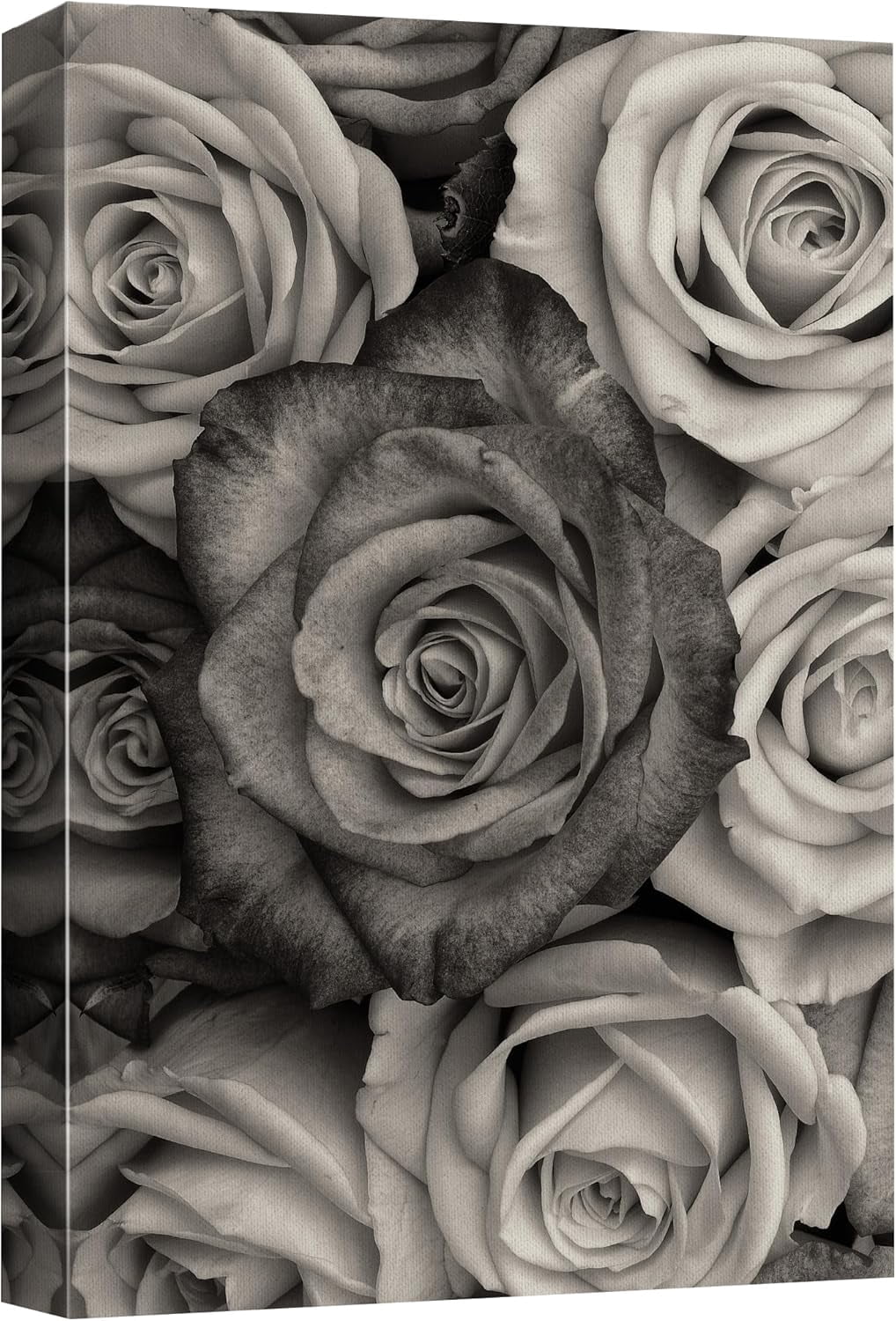 AatoeaX Canvas Print Wall Art Premium Monochromatic Roses Gallery ...