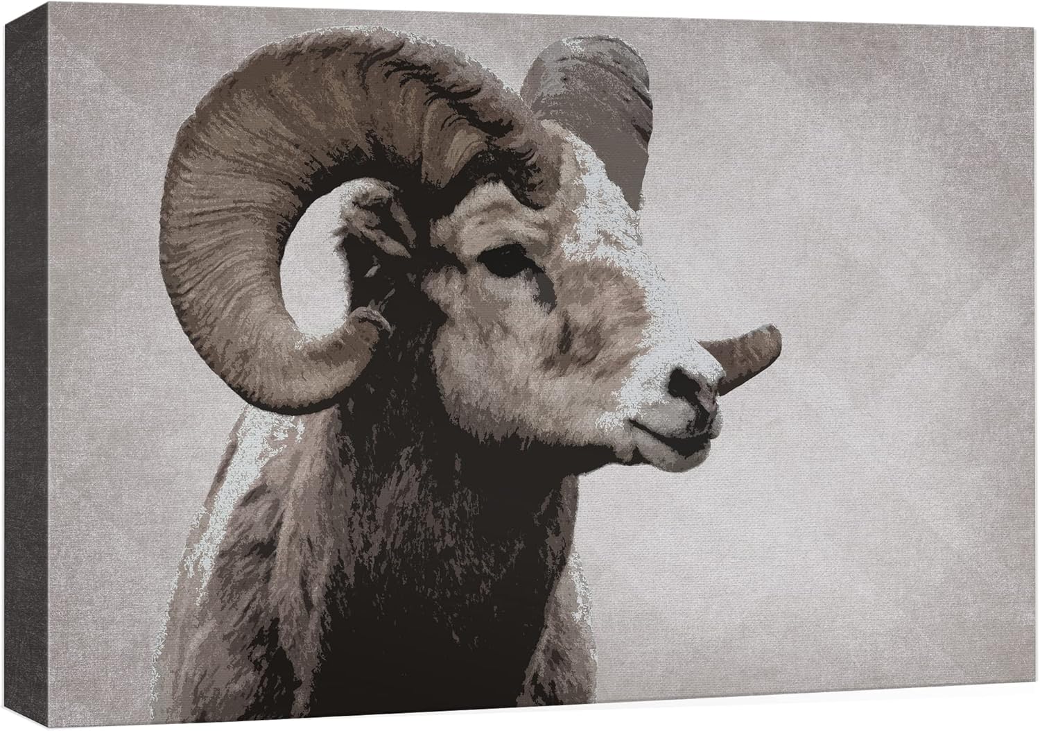 AatoeaX Canvas Print Wall Art Ram Portrait on Graphite Background ...
