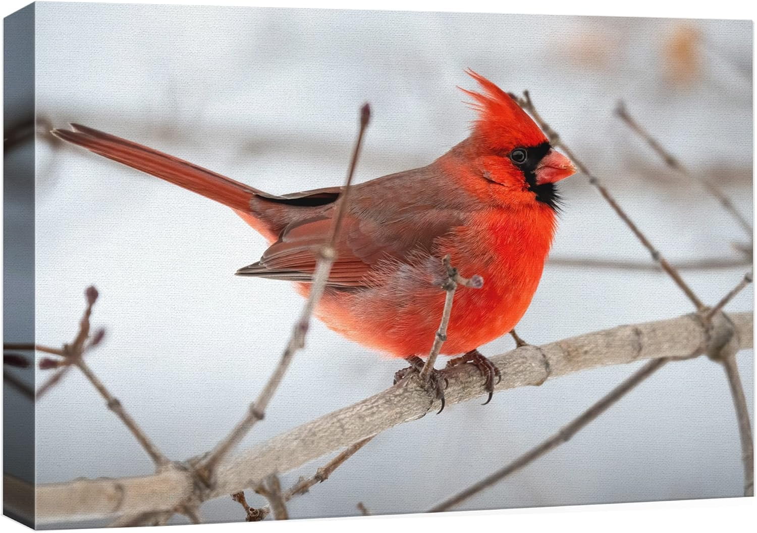 AatoeaX Canvas Print Wall Art Red Cardinal on Tree Branch Birds ...