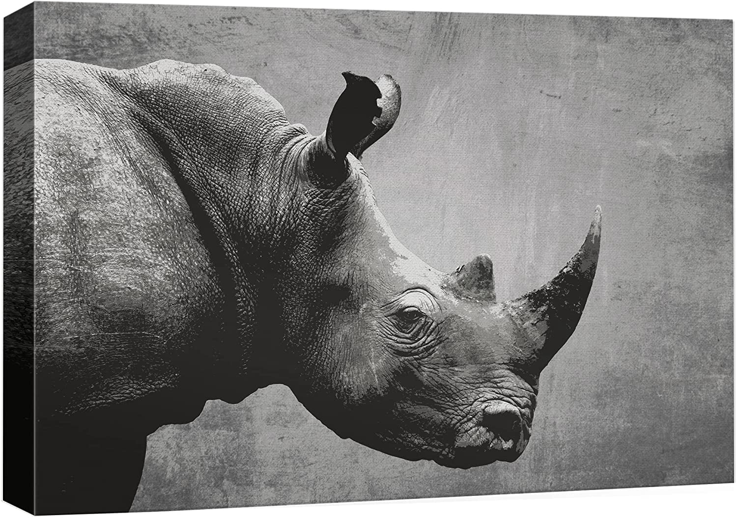 AatoeaX Canvas Print Wall Art Rhinoceros Portrait on Graphite ...