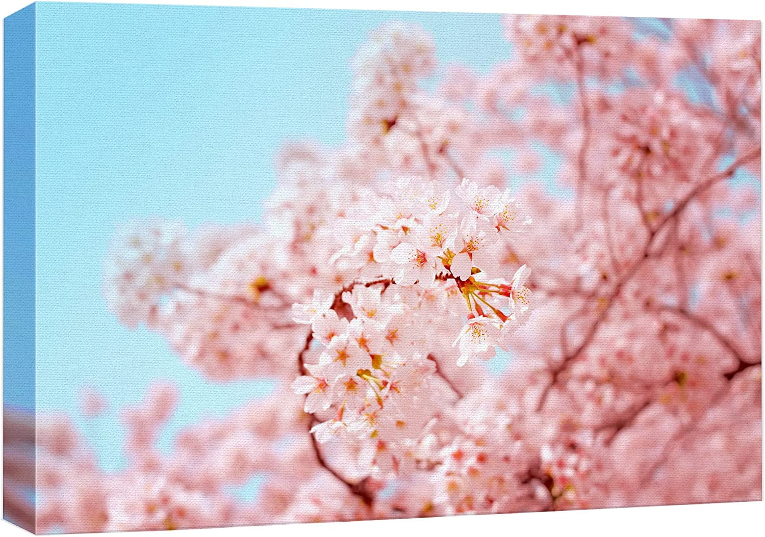 AatoeaX Canvas Print Wall Art Spring Summer Japanese Cherry Blossoms ...