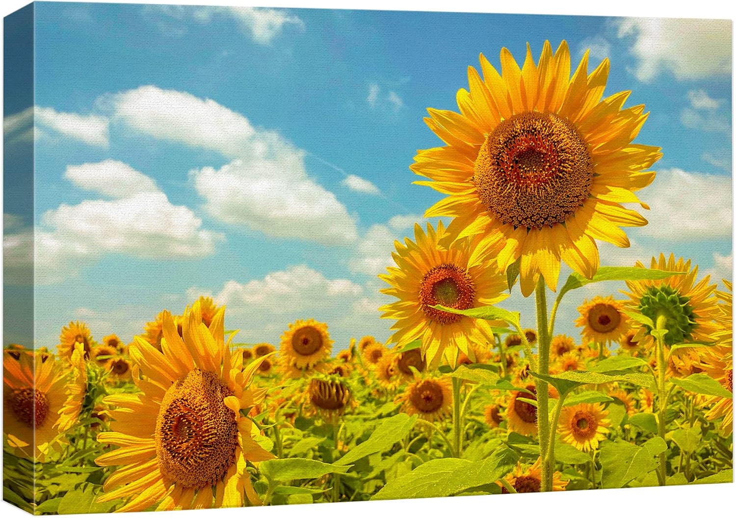 AatoeaX Canvas Print Wall Art Summer Spring Sunflower Field Landscape ...