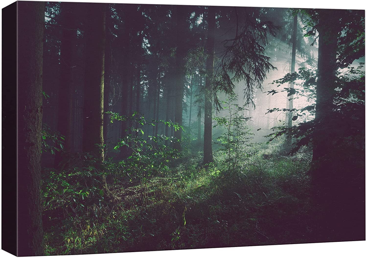 AatoeaX Canvas Print Wall Art Sunlight Passing Through Green Forest ...