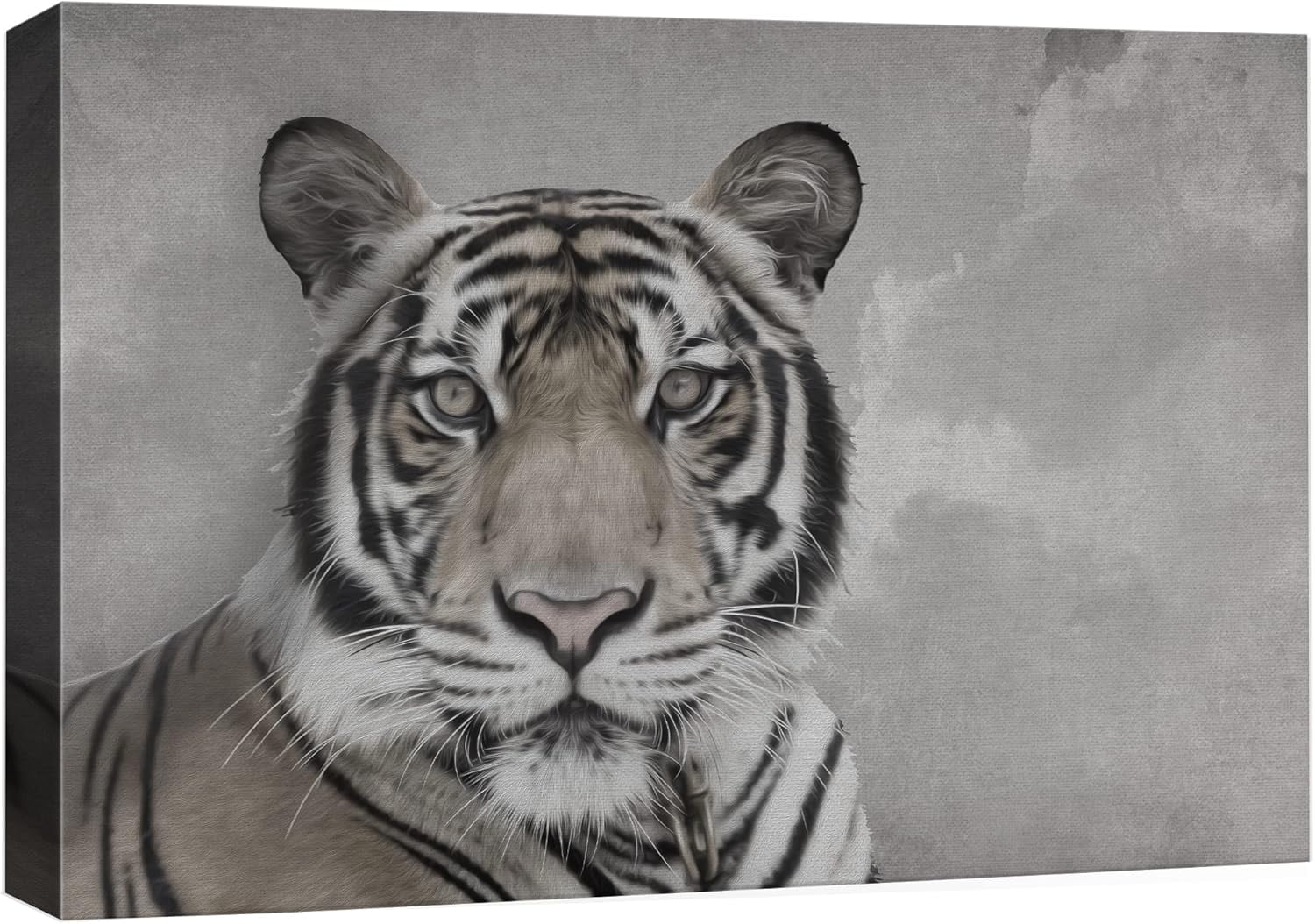AatoeaX Canvas Print Wall Art Tiger Portrait on Graphite Background ...