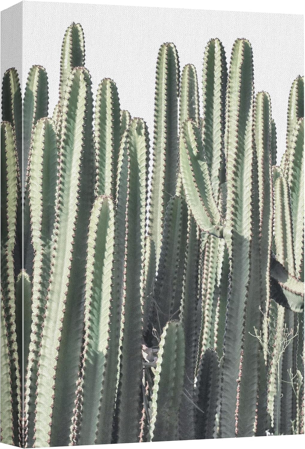 AatoeaX Canvas Print Wall Art Vibrant Green Cacti Garden Bold Desert ...